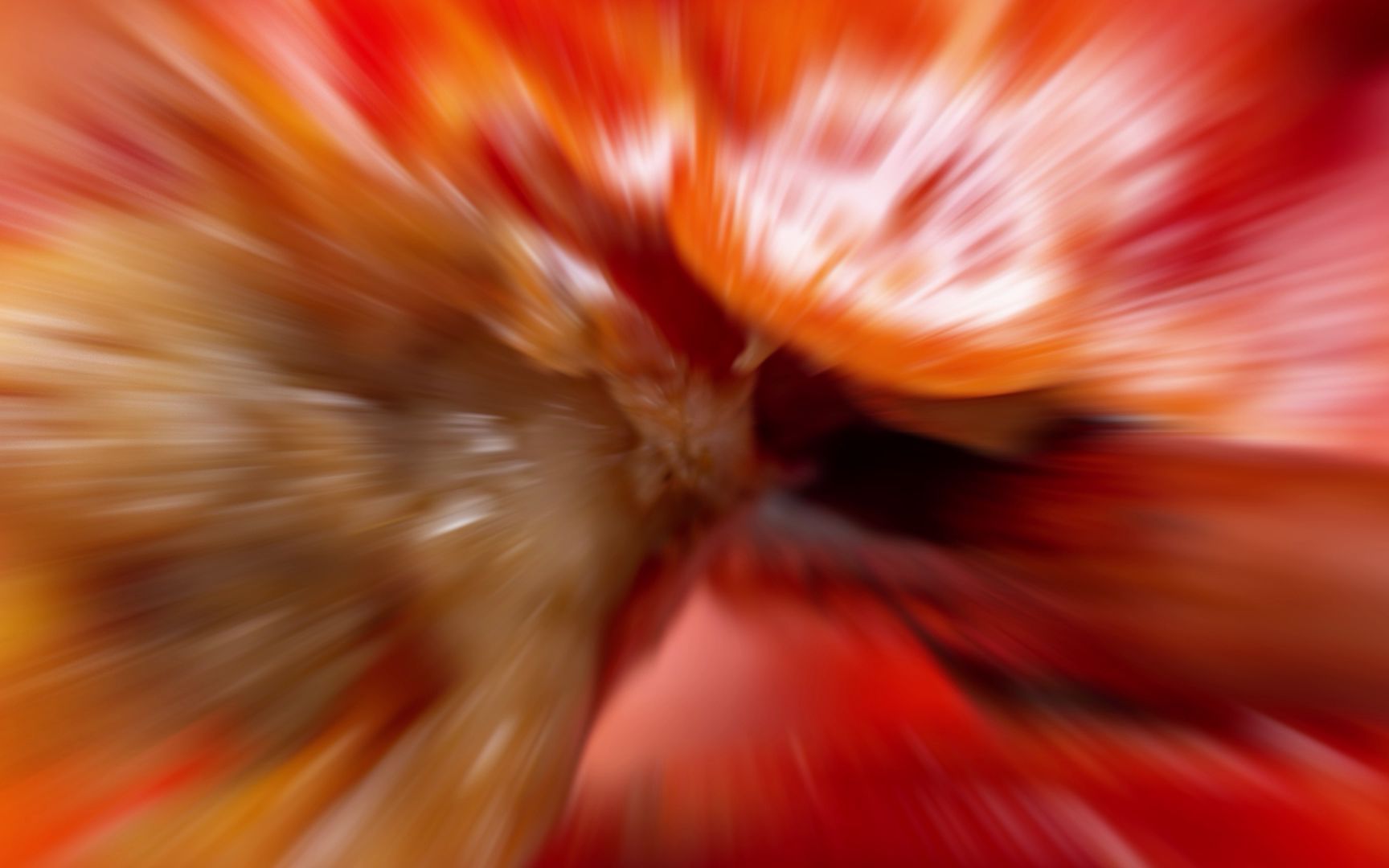 麻辣小龙虾广告录音宣传语【最新播放】