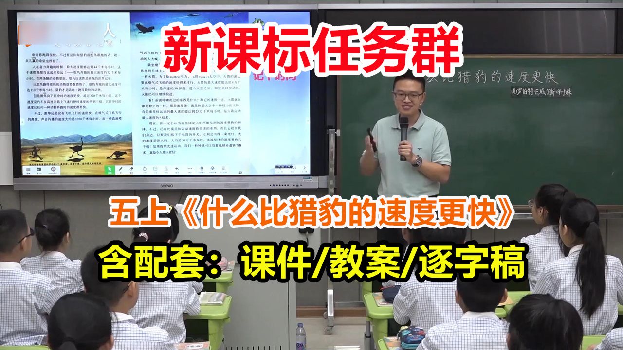 五上《什么比猎豹的速度更快》新课标任务群优质公开课,(有配套课件...