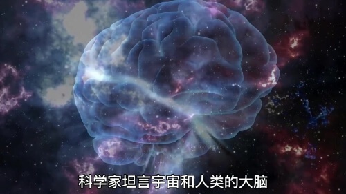 宇宙大脑相似性研究:基于巨型模型科学家对比探索