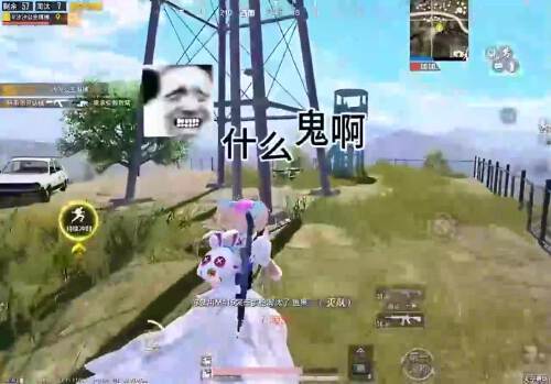 软饭弟弟撒娇卖萌太治愈!网友:这谁顶得住啊