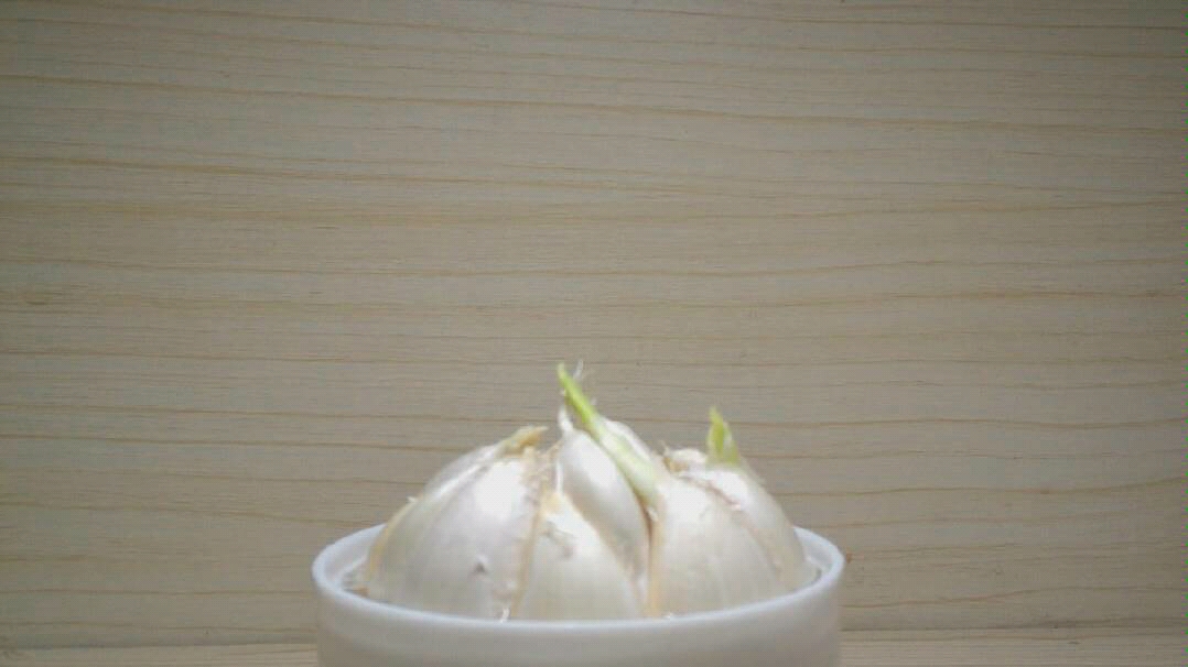 【延时摄影】拍摄165小时见证大蒜发芽生长过程!