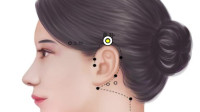 角孙穴:可缓解白内障、偏头痛、齿龈肿痛、 口腔炎等症状!