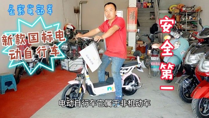 修车小哥推荐新款国标电动自行车,想买电动车的朋友一定要看!