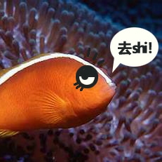ACG小鱼 