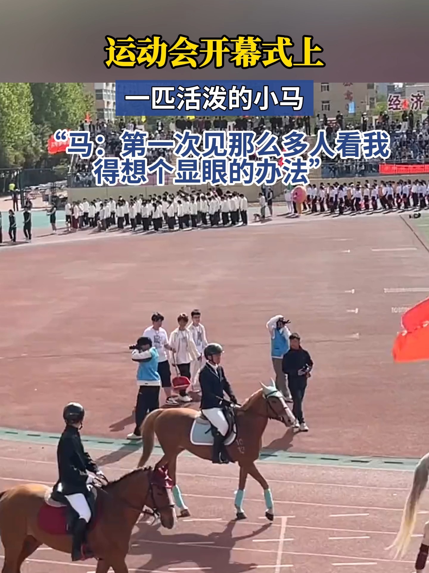 运动会开幕式上,一匹活泼的小马