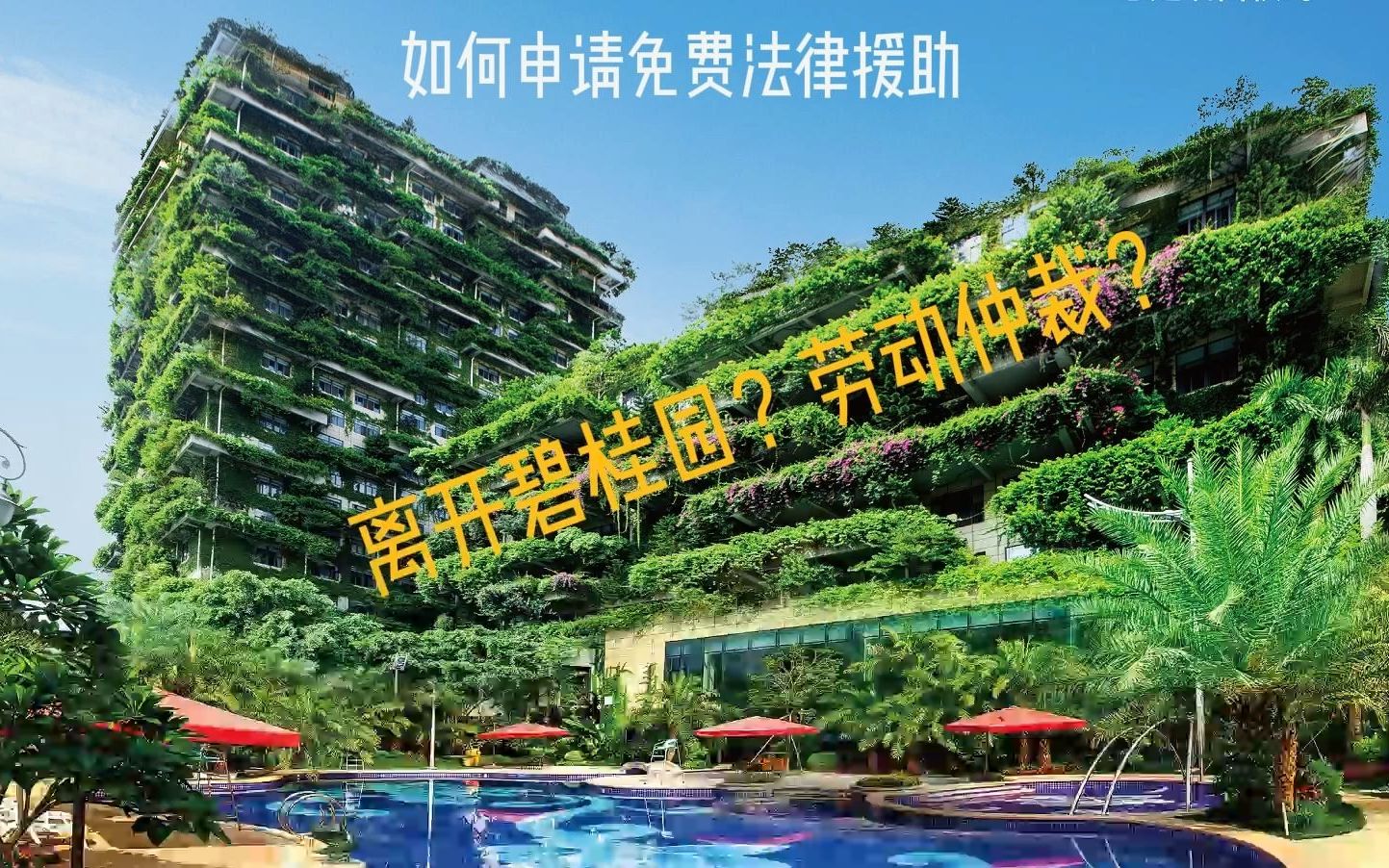 2023年,碧桂园前员工教你劳动仲裁申请免费法律援助