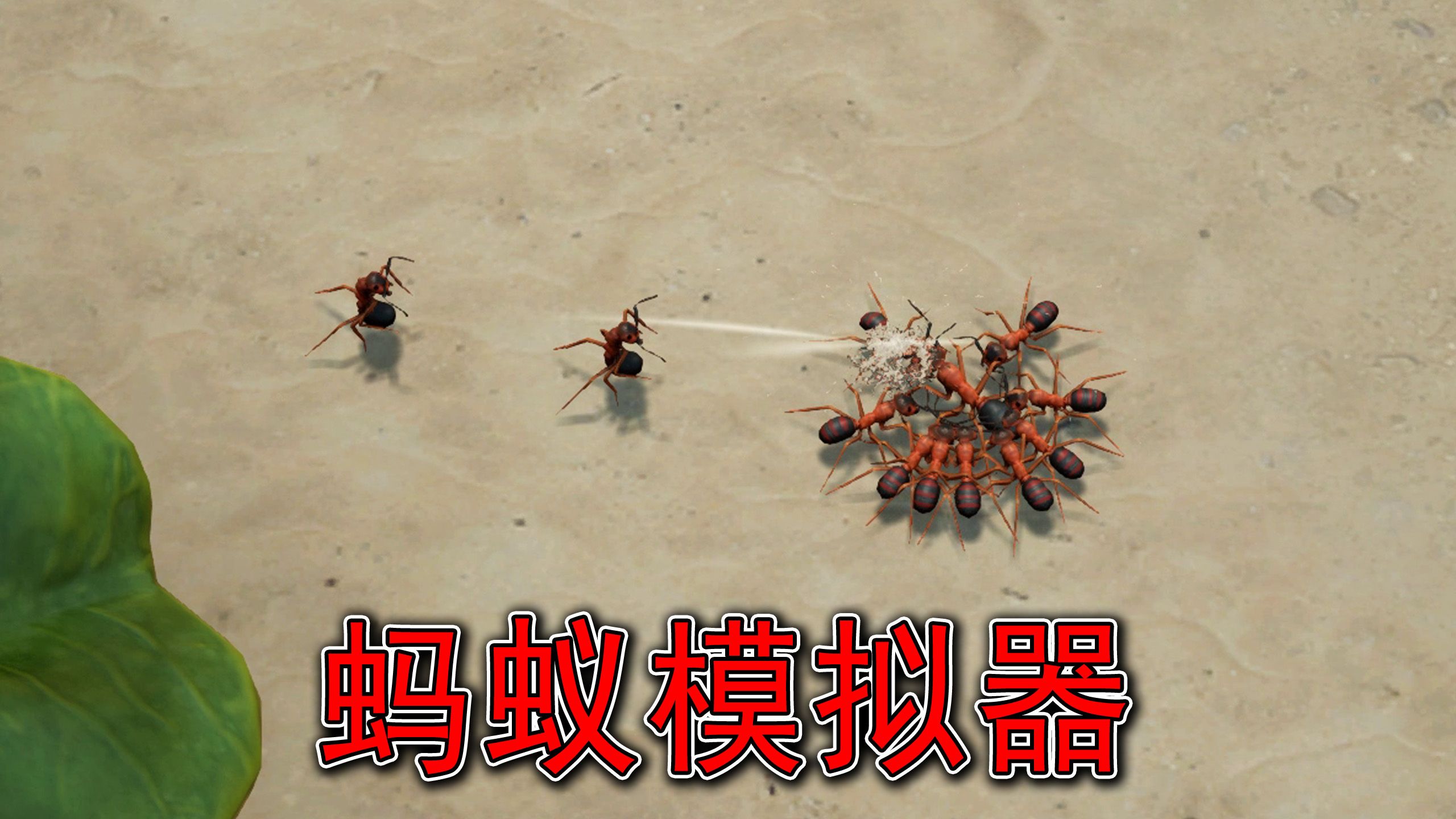 蚂蚁模拟器:操控蚂蚁在海滩大战寄居蟹,这也太离谱了吧_哔哩哔哩...
