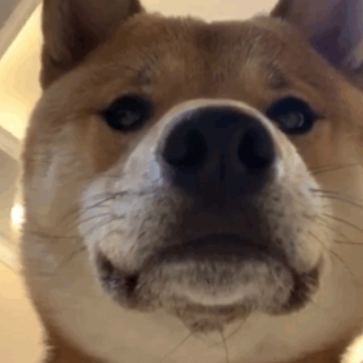 我是Z呢 