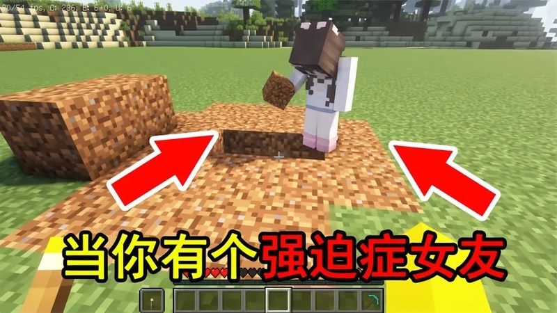 我的世界:当你有个强迫症女友,有多绝望