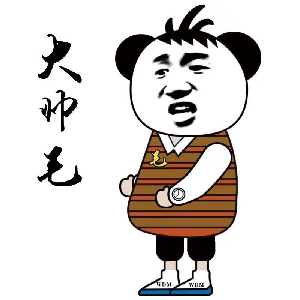 王大毛很帅 