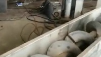 双向螺旋输送机型号,两端进料中间出料绞龙