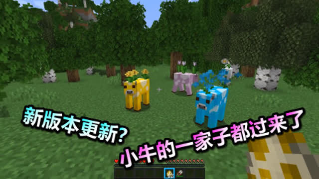 MC我的世界:新版本大更新?连小牛牛都有了五颜六色的