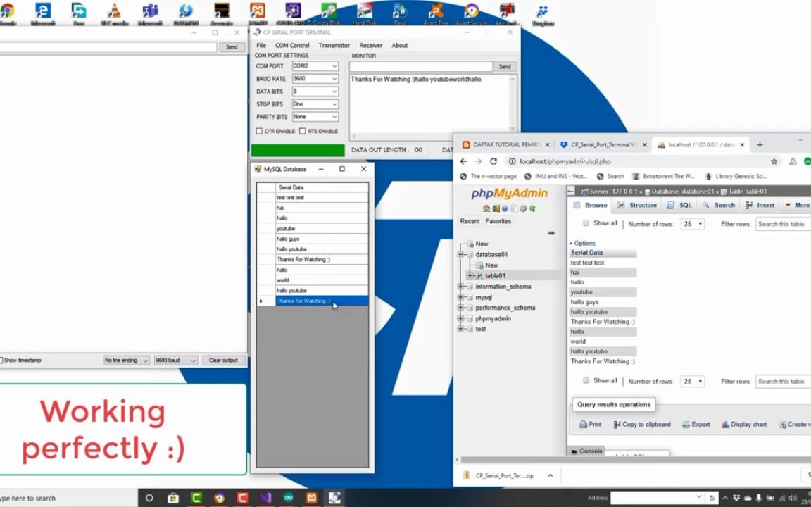 Visual Studio C# 串口通信开发指南10.自动更新数据网格 (10_13)