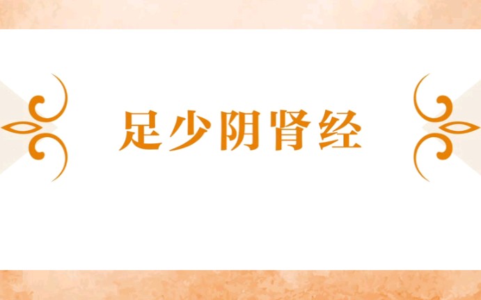 穴位视频-足少阴肾经2