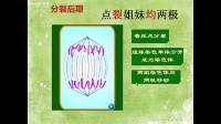 《细胞的增殖(第二课时)》 视频2