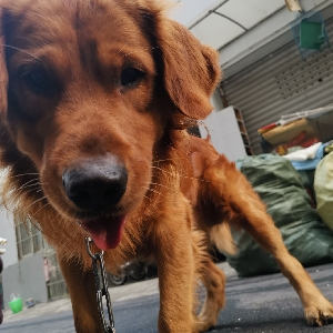 打印机技术共享 