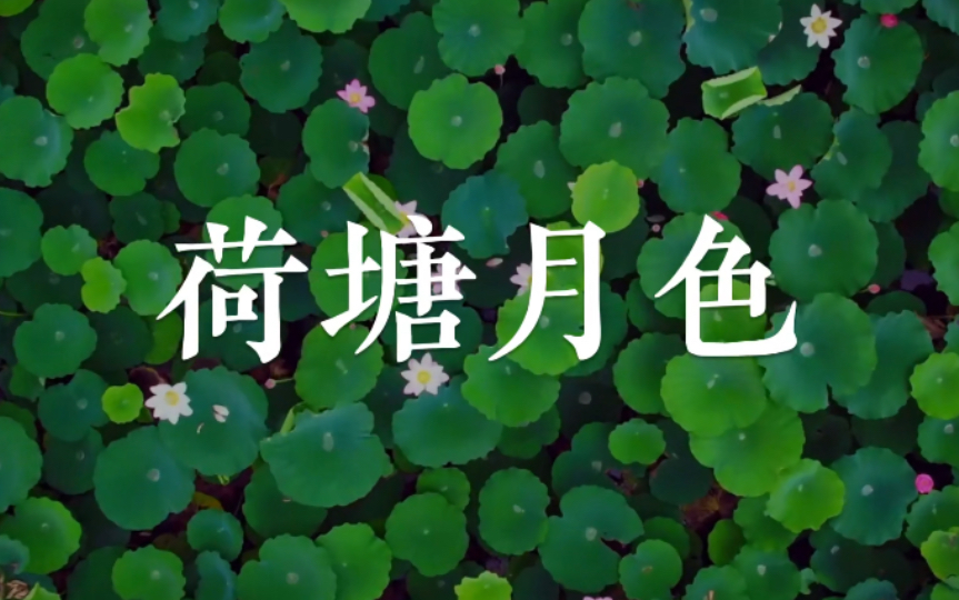 凤凰传奇-荷塘月色 歌词纯享版