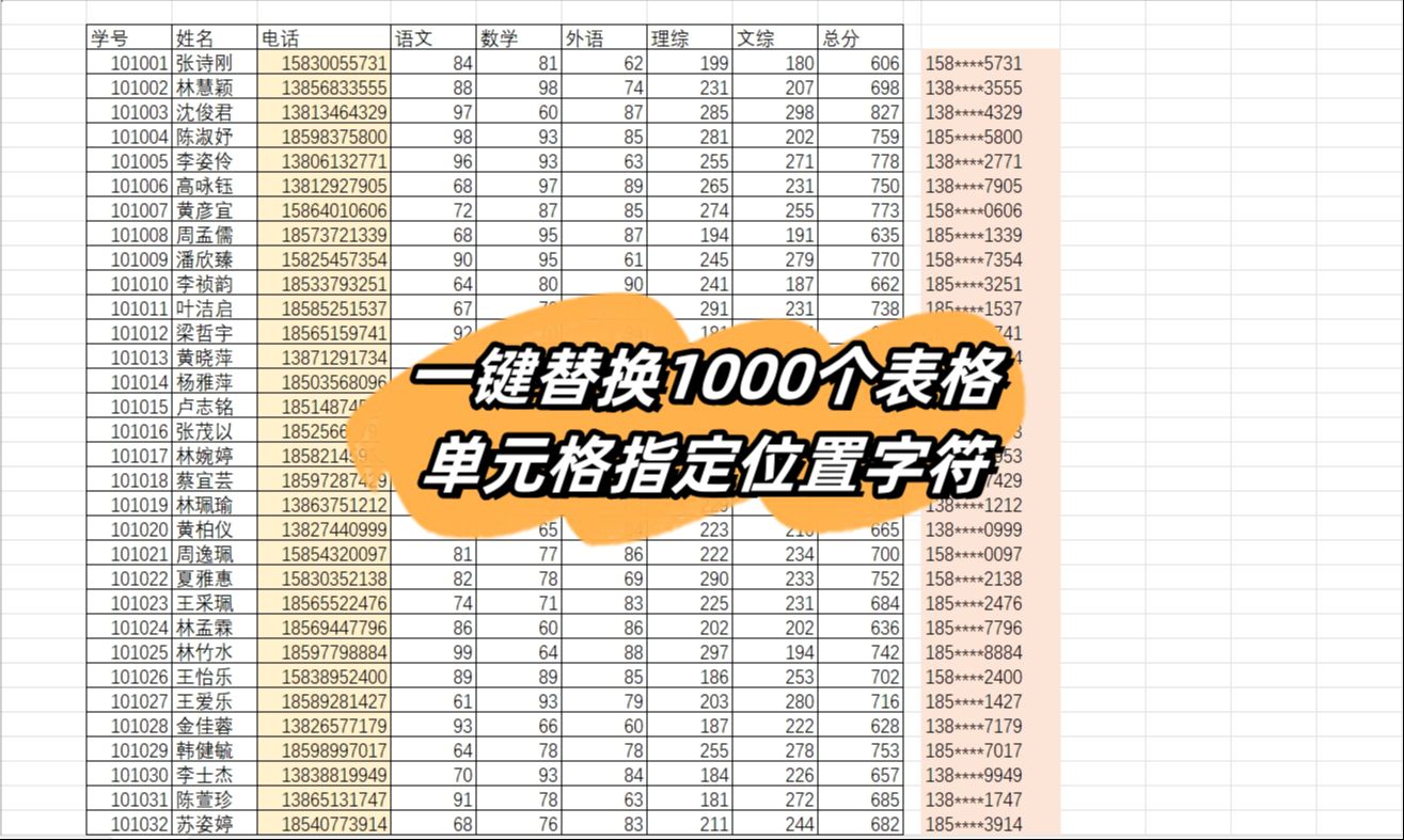 【一键替换1000个表格单元格指定位置的字符 】Excel表格数据处理 ...