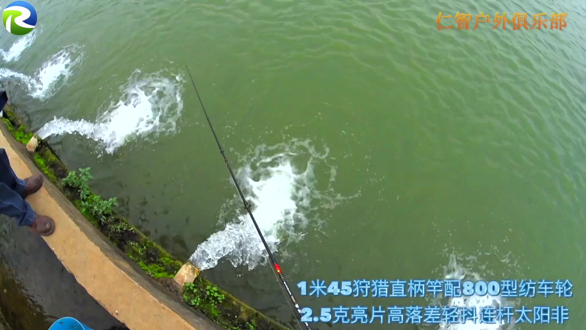 【路亚钓鱼】小亮片钓罗非鱼,秒上轻易破百,根本停不下来!