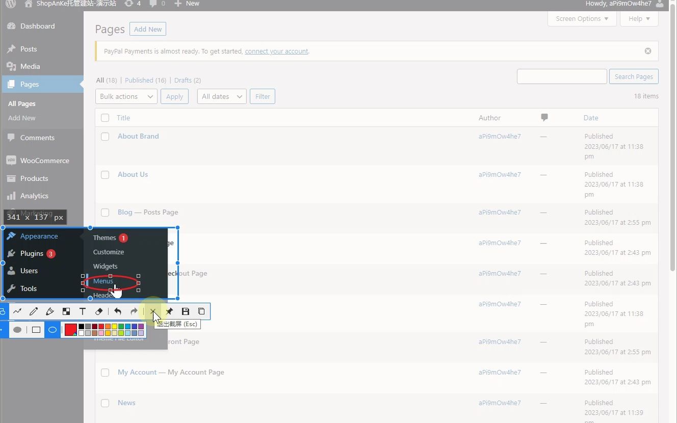 ShopAnke独立站视频简单教程Wordpress+WooCommerce