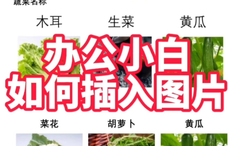 办公小白Word插入图片