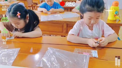 小小科学家,导体与绝缘体的奇妙之旅