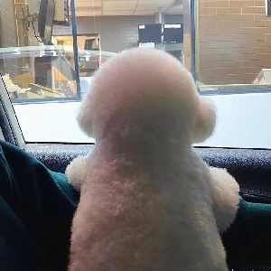 孤舟蓑笠翁-_ 