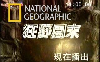 【国家地理自然纪录片】狂野周末:动物的另类行为(绝版)