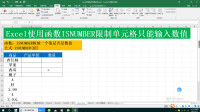 Excel使用函数ISNUMBER限制单元格只能输入数值