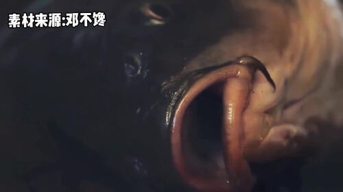 AI比审核还敏感?主播刚摆pose系统秒删,网友笑喷:这AI防擦边太拼了!