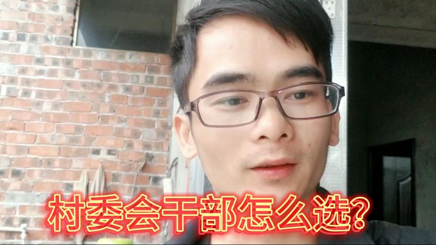 村委会干部怎么选举?每个人投一票还是每个村投一票?