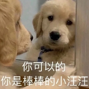 毅燃锋 