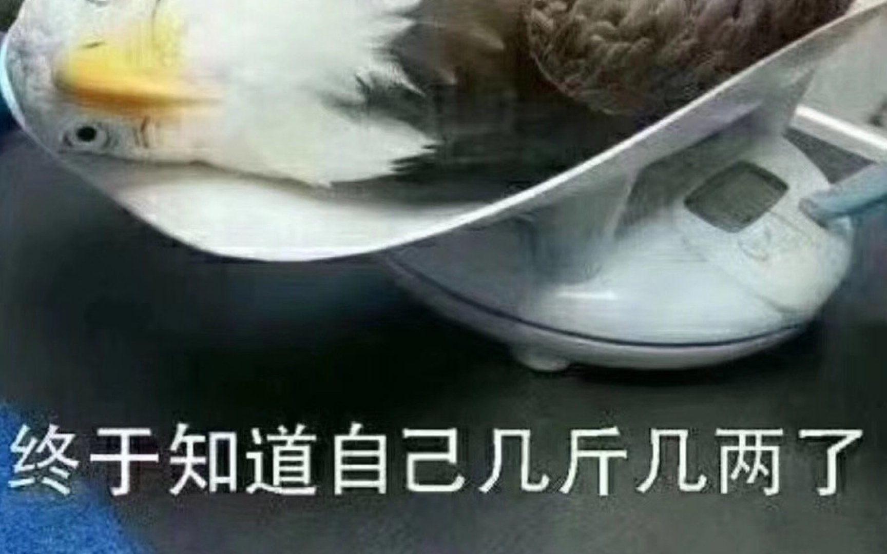 -cytus2- 拇指挑战vcan you wake up?