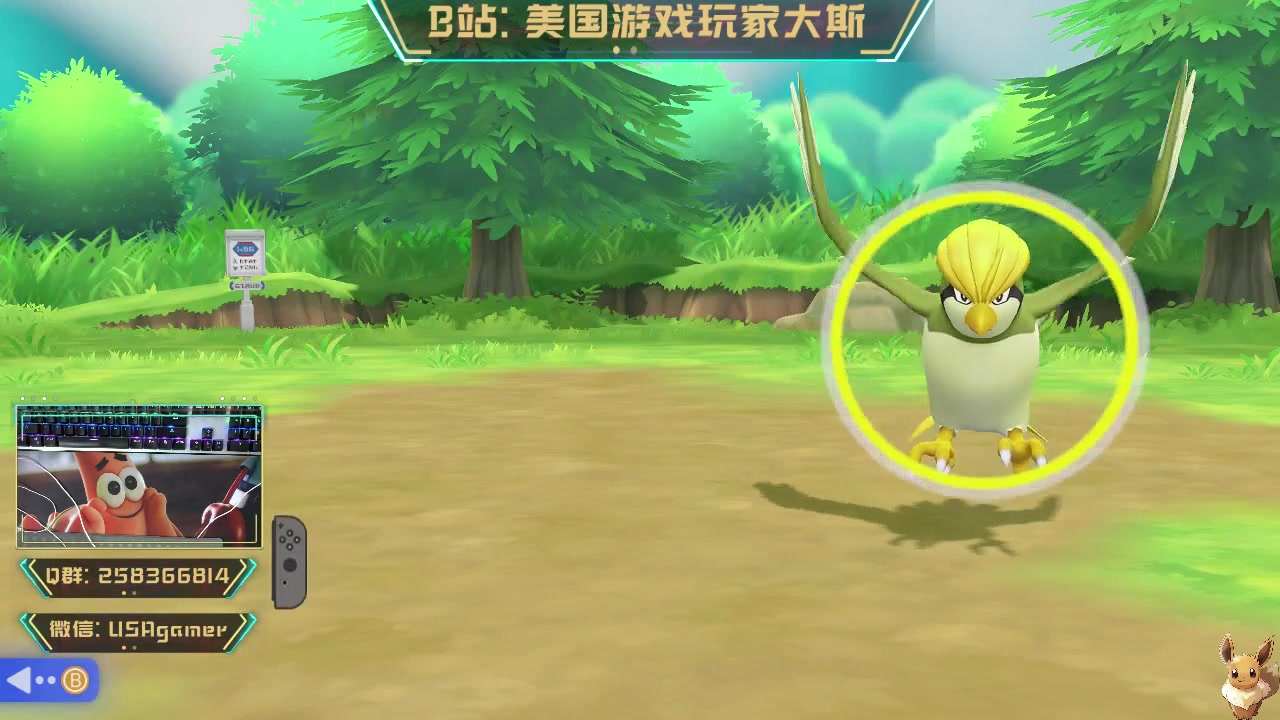 《宝可梦Let's Go 皮卡丘 伊布》4096分之1的几率(没用香水 没有连锁)...