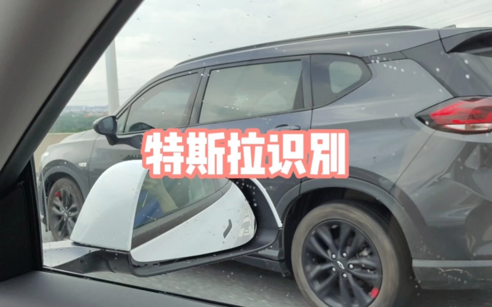 广州黄师傅汽车陪练·特斯拉智能识别