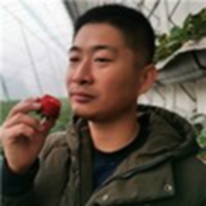 农村小摇 