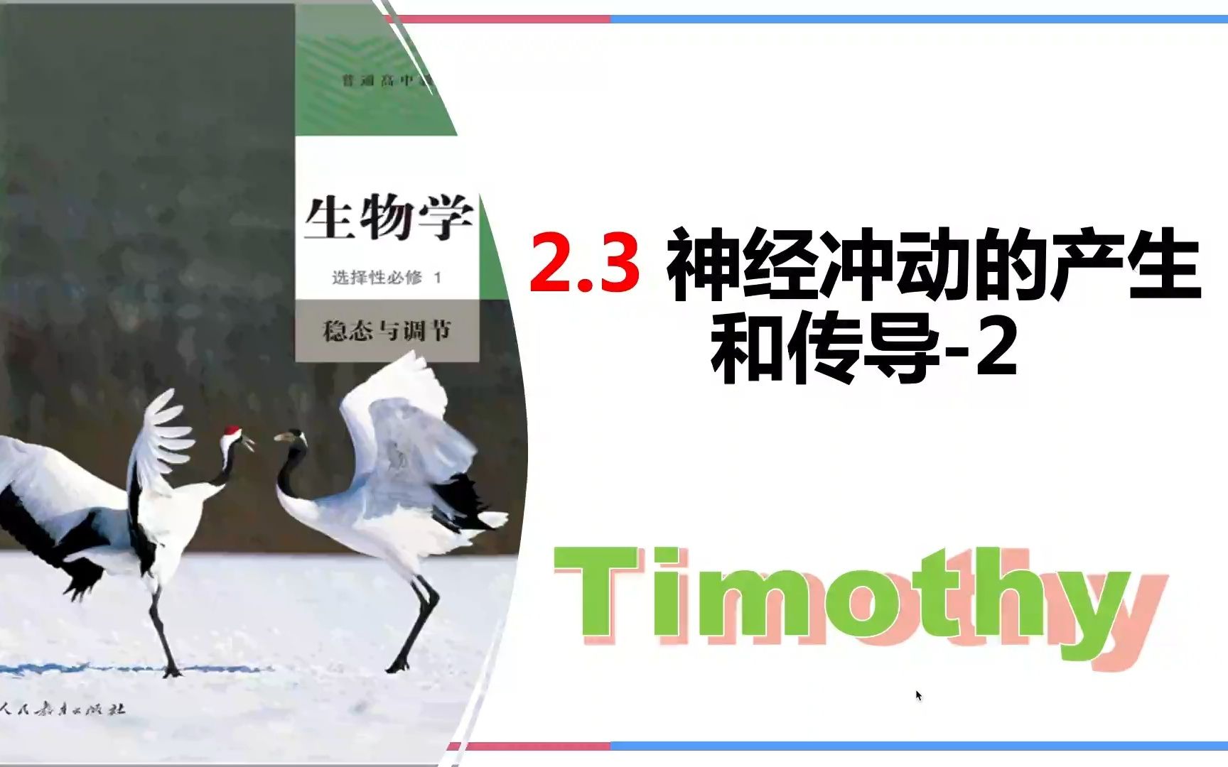 【2023选择性必修1】2.3-2神经冲动的产生和传导 神经元之间传递...