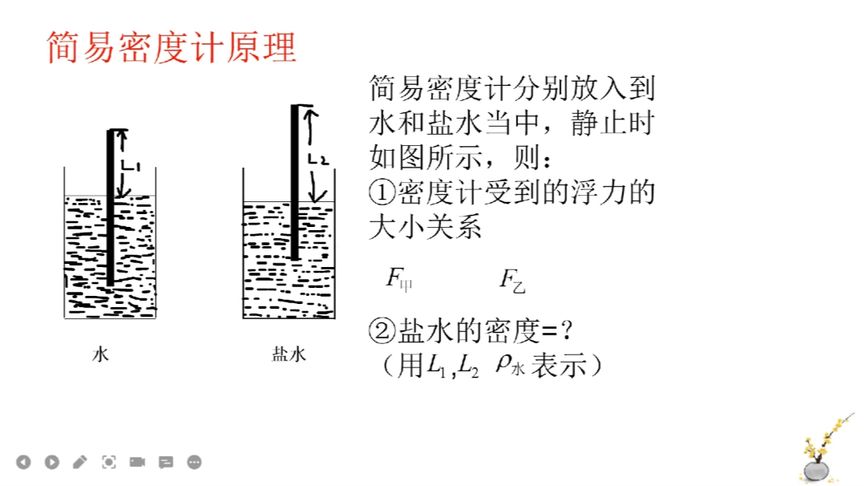 #科学推理#简易密度计原理