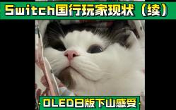 Switch国行玩家现状(续)-OLED日版下山感受-国行和日版、OLED和...