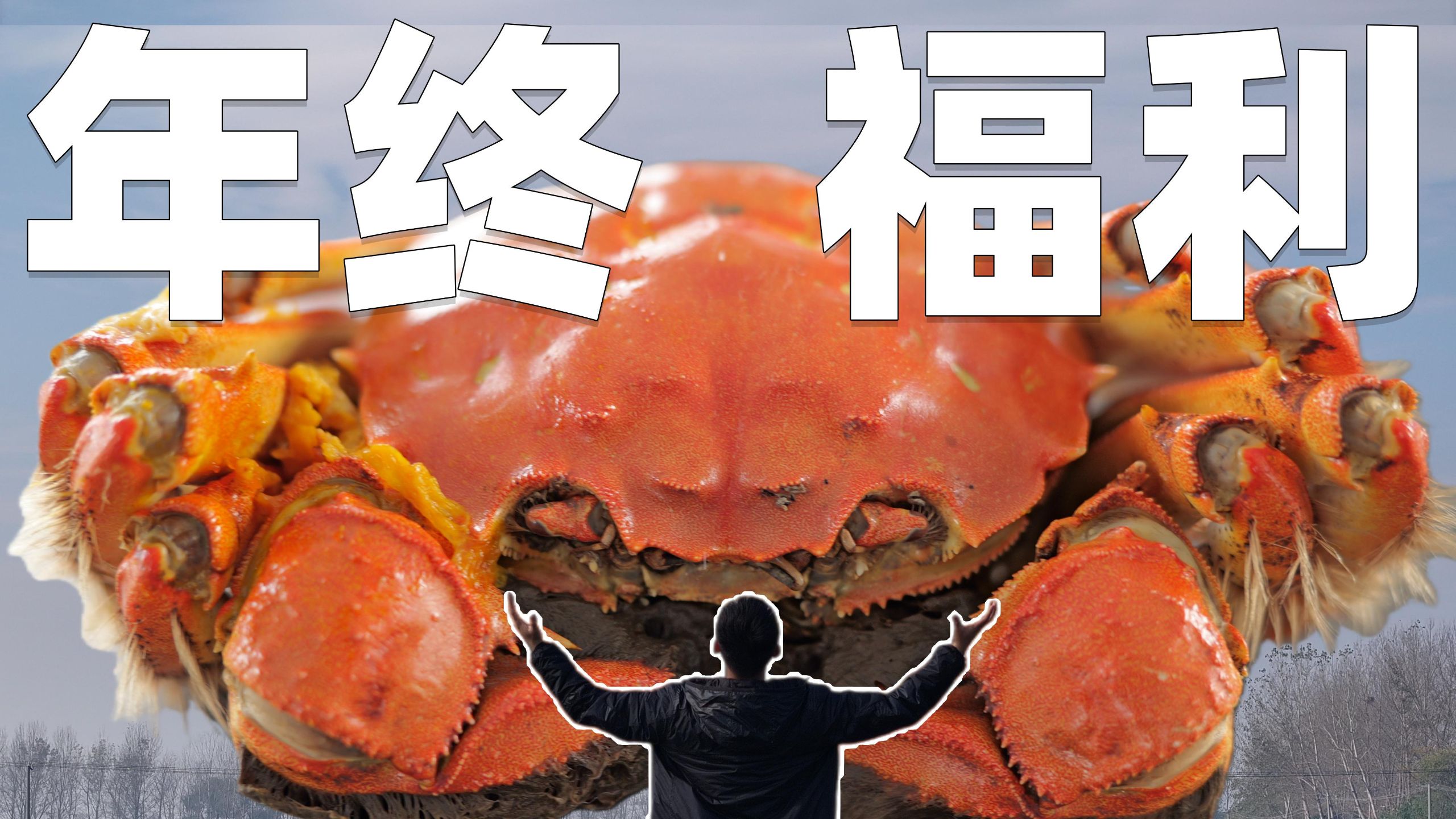 猜猜我把营销费用,变成了什么福利?