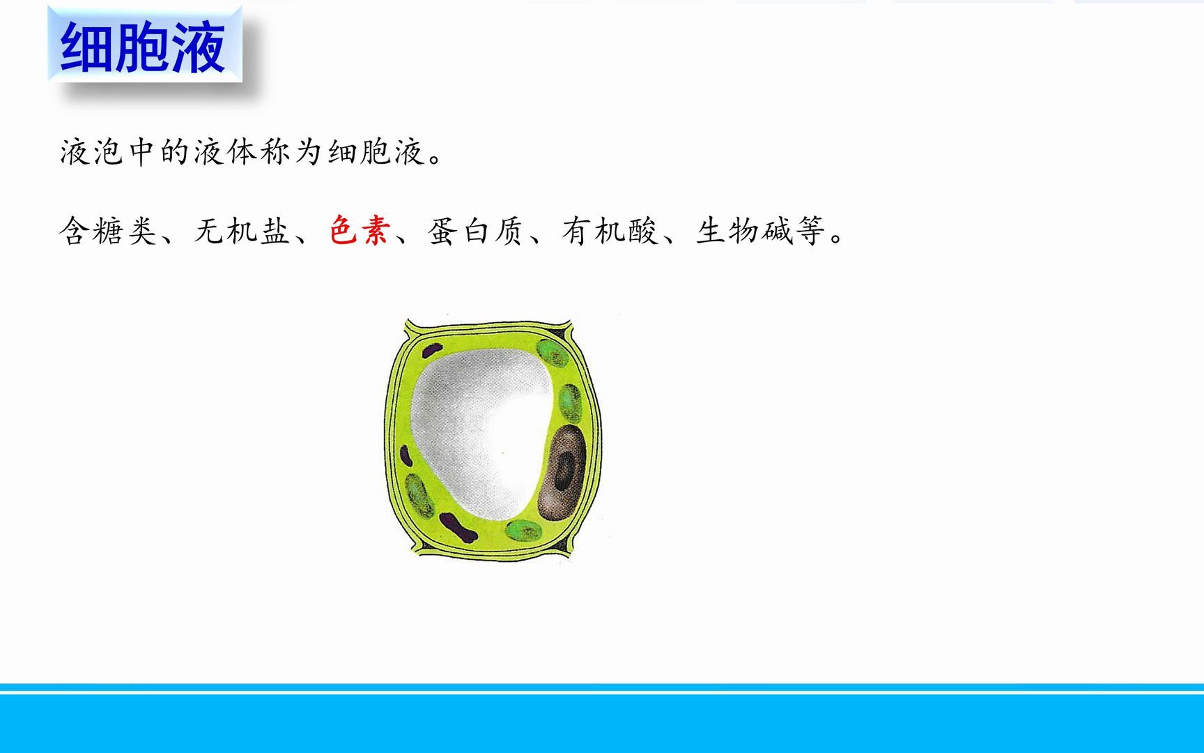 高中生物一轮复习微课2.8.10.细胞液
