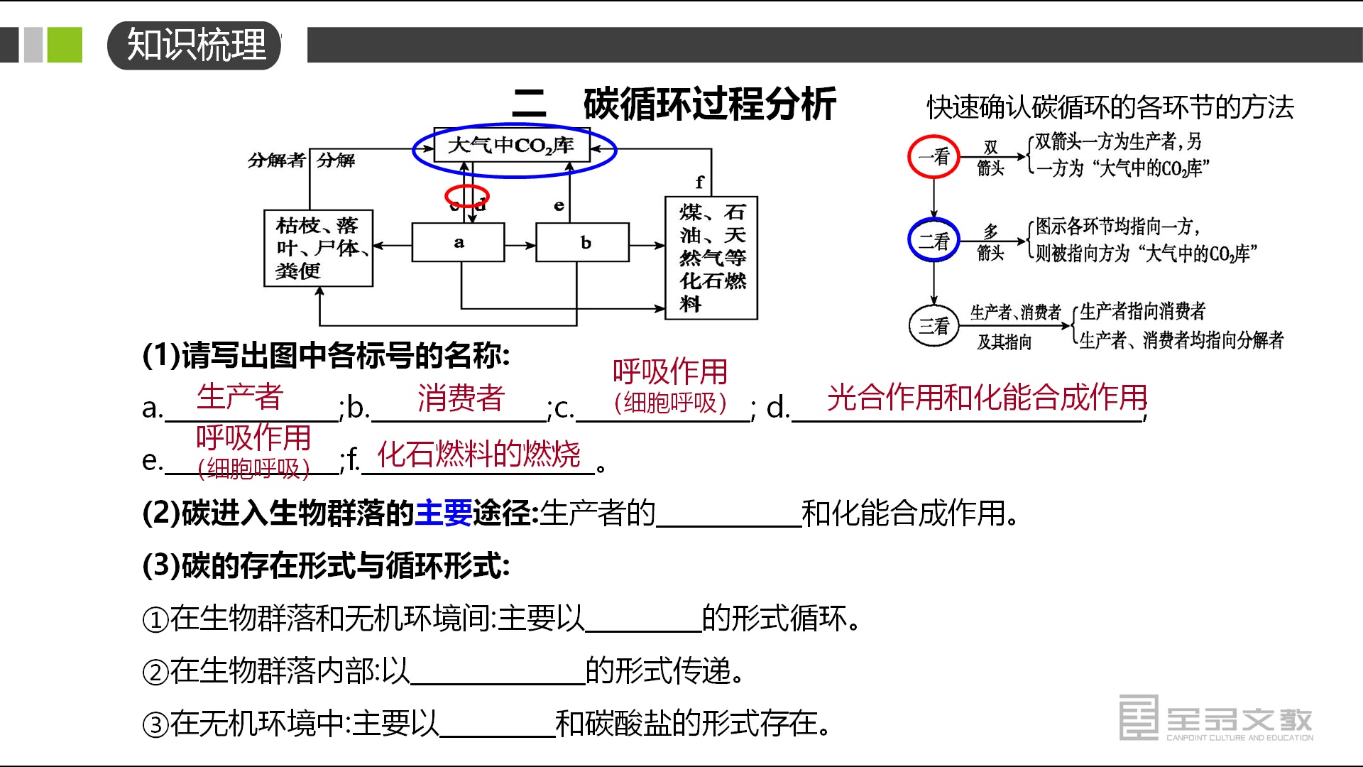 微课7:生态系统的物质循环
