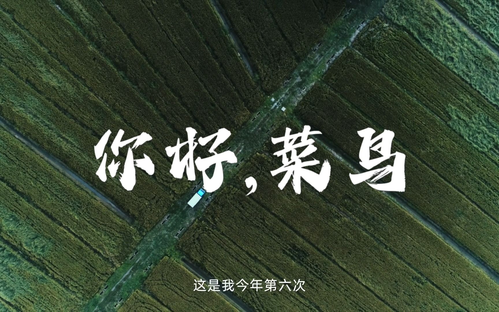 菜鸟招聘宣传片《你好,菜鸟》全球首发,期待更多的小伙伴加入菜鸟,...