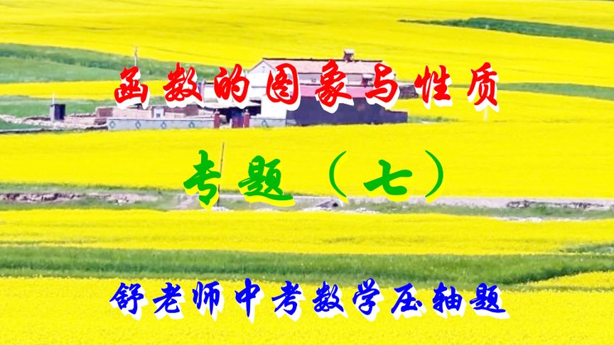 中考数学函数的图象与性质专题(七)