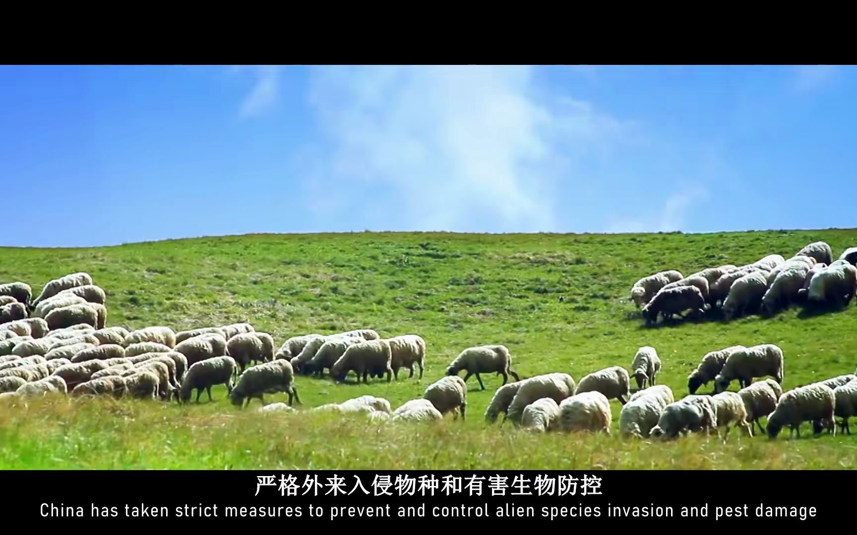 ...美好共建》生态环境部发布2023年“国际生物多样性日”主题宣传片