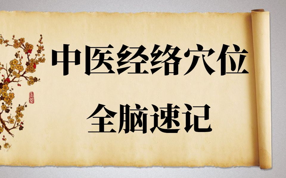08.中医经络穴位全脑速记——十二正经(六)手太阳小肠经