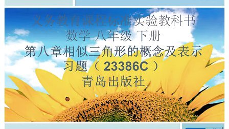 青岛出版社63制初中数学八年级下第八章相似三角形的概念及表示习题