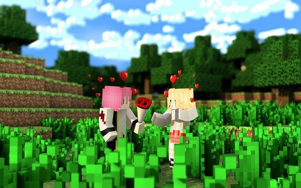 当法图麦遇到MC玩家_哔哩哔哩bilibili_我的世界