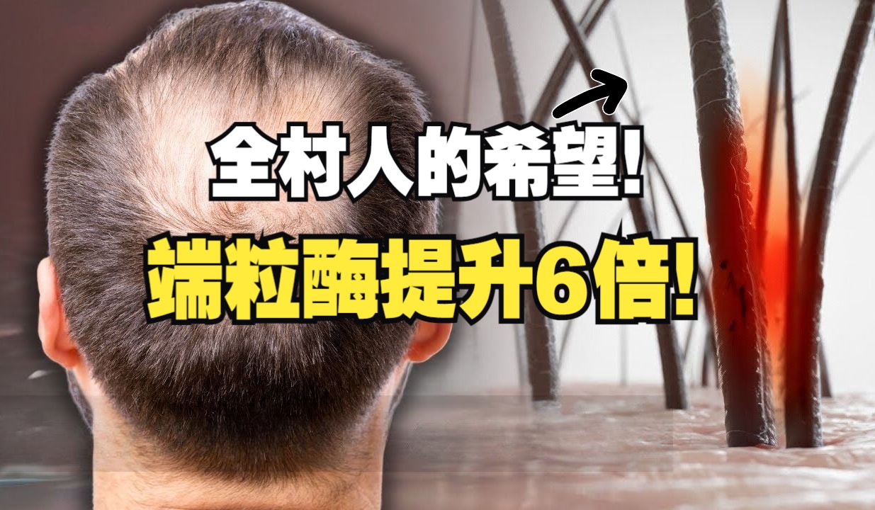 对标米诺地尔!科学家发现生发新成分提升端粒酶和毛囊干细胞活性!
