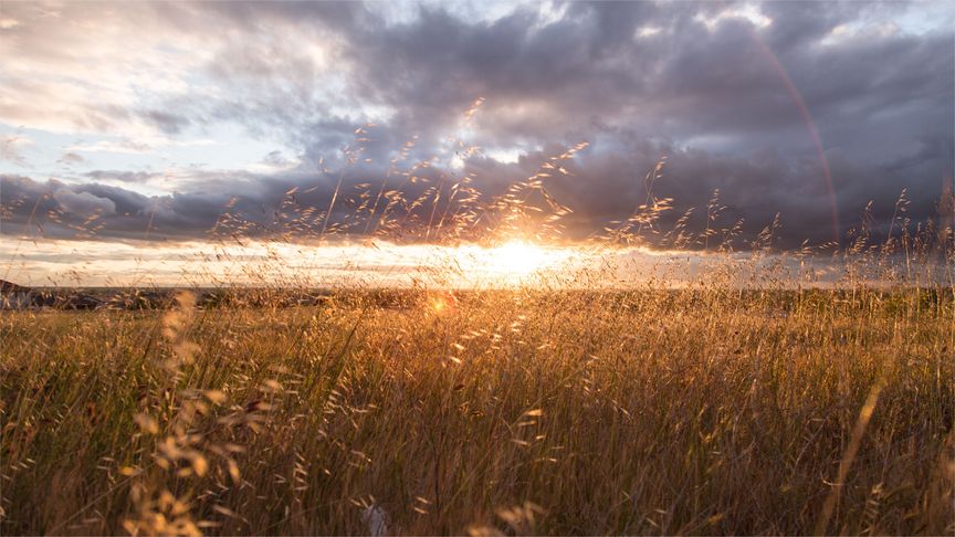 【放松轻音乐】人生价值的大小是按人们对社会贡献的大小来衡量的